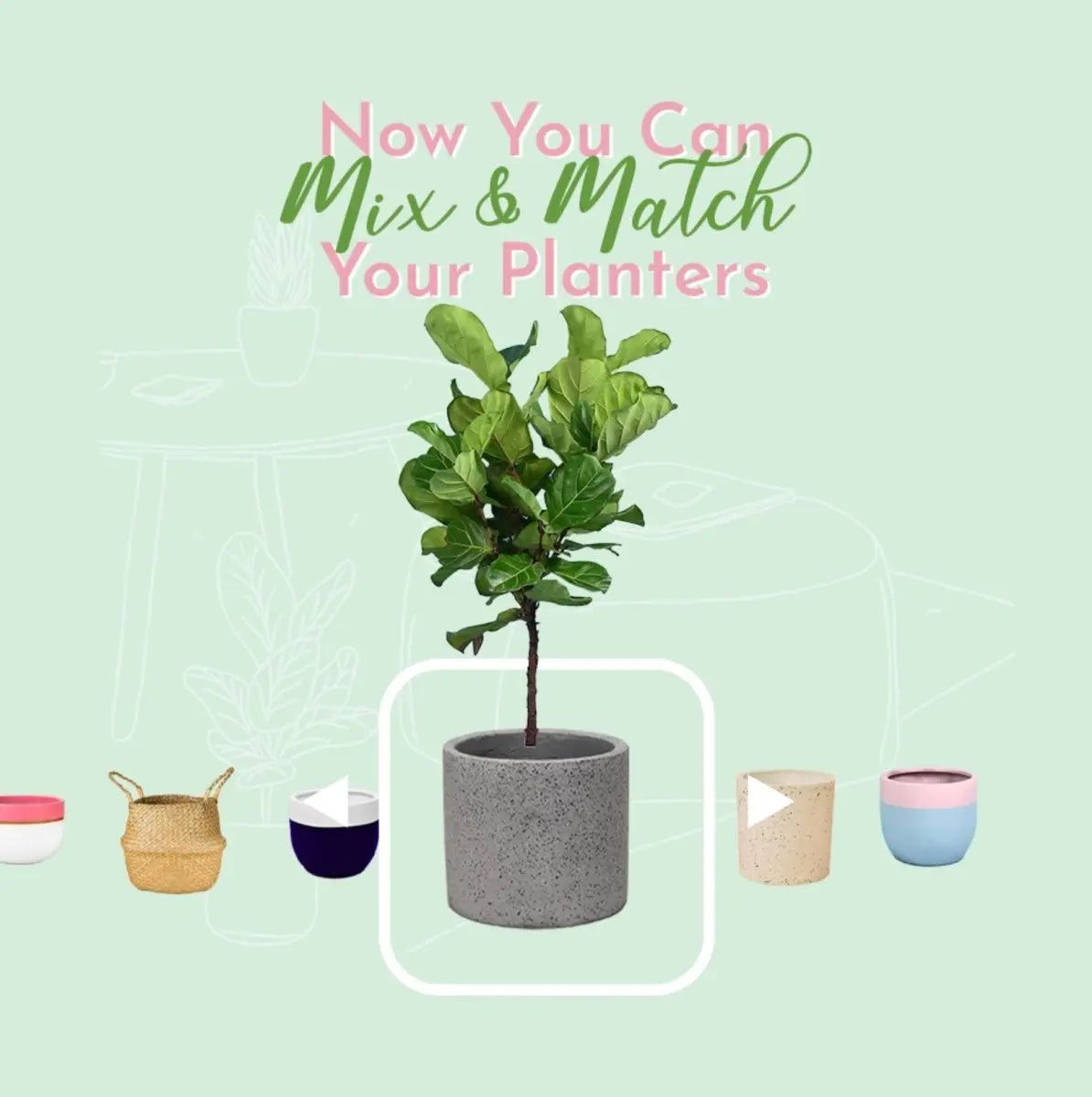 New Feature Release: Mix & Match Plants & Pots!