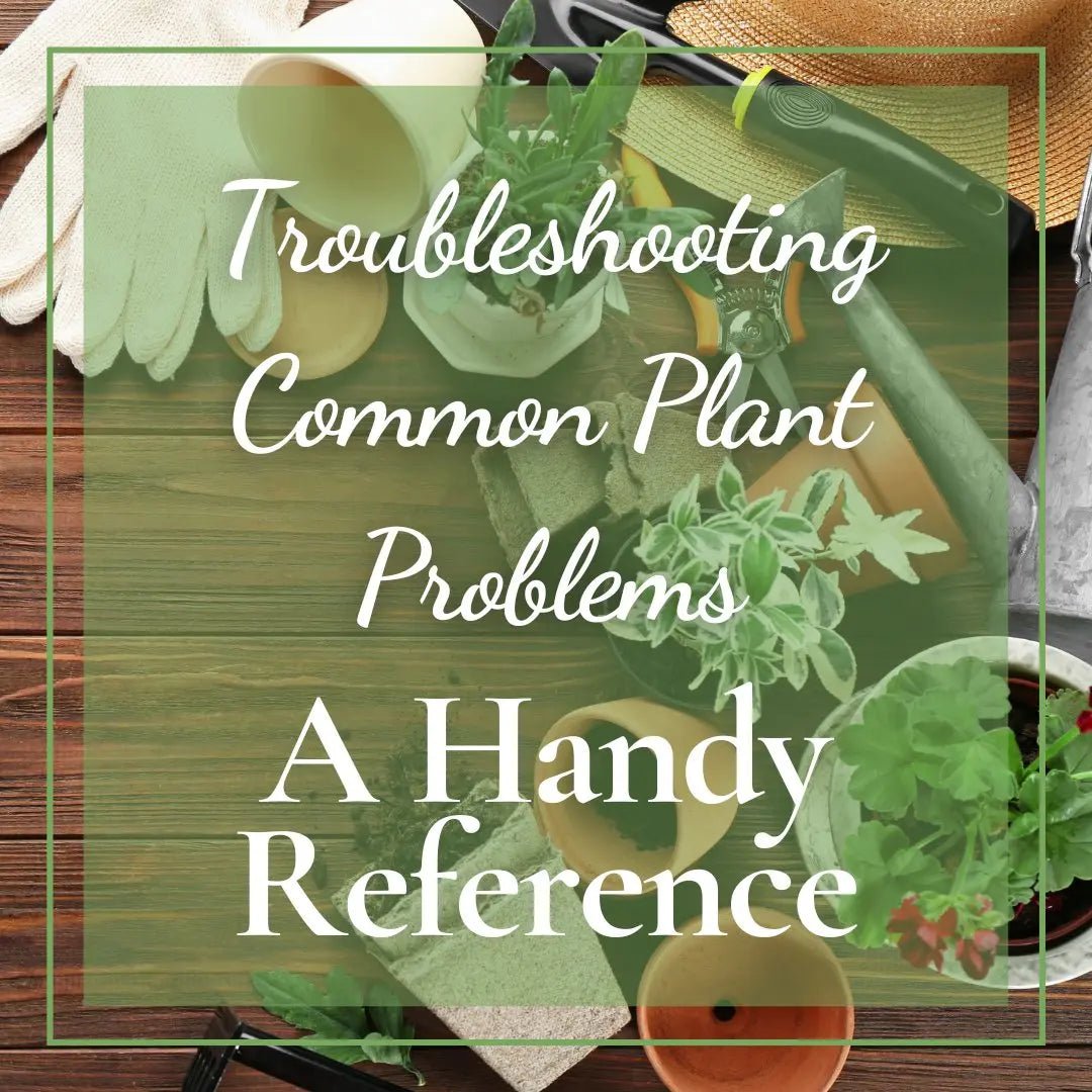 Troubleshooting Common Plant Problems: A Handy Reference