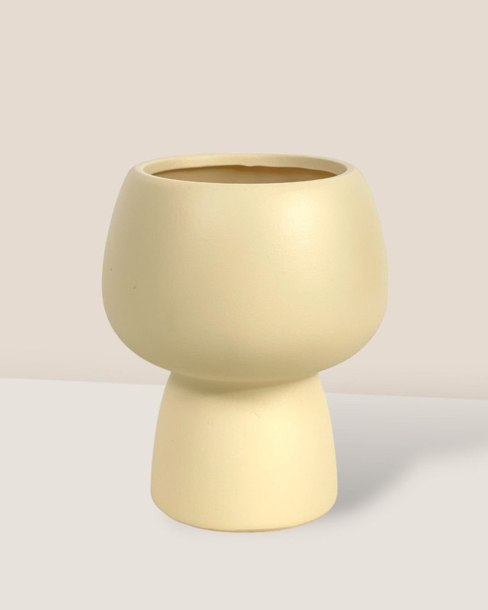Ceramic Butter Sand Pot - Tumbleweed Plants