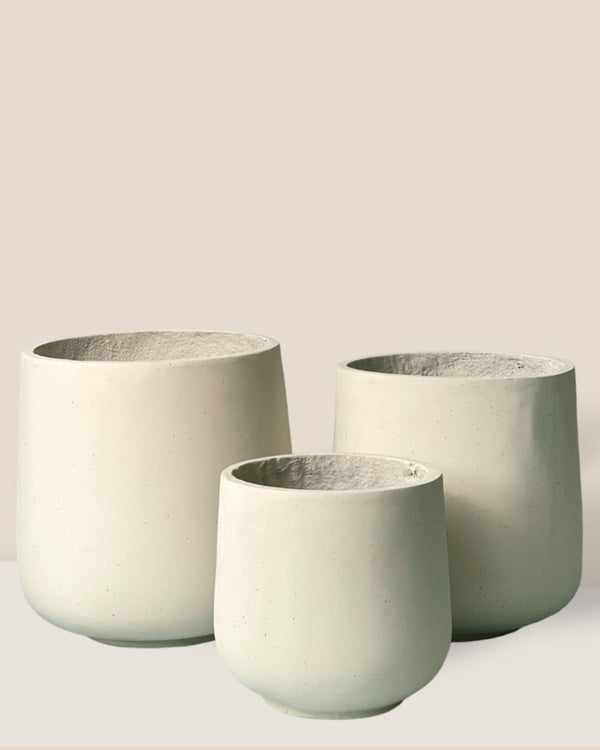 Luna Cylinder Pot XL - Tumbleweed Plants
