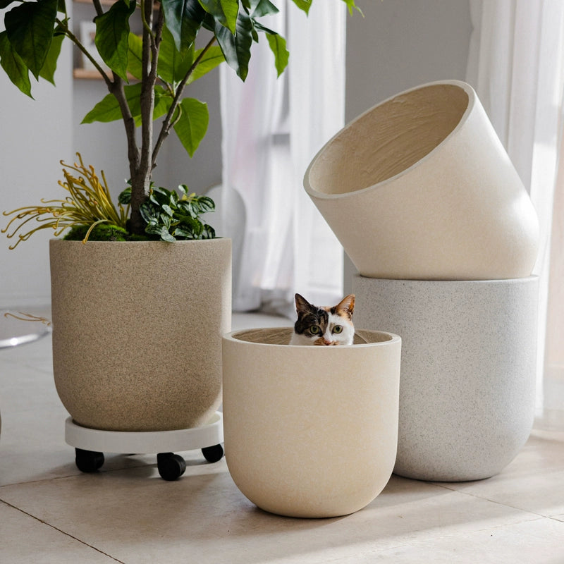 Sand Mist Pot - XXL - Tumbleweed Plants