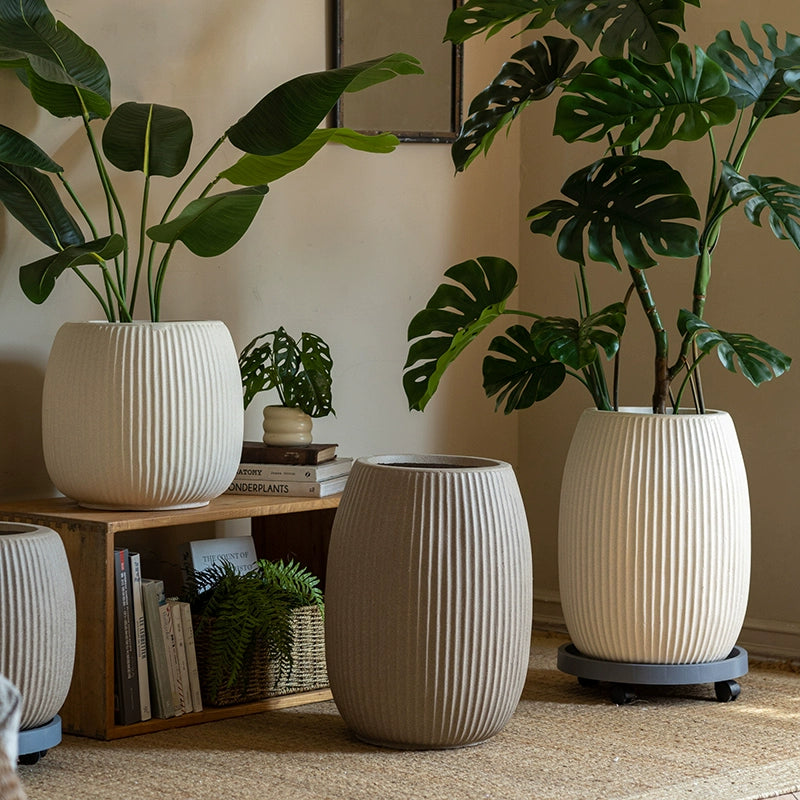 Reed Planter - Tumbleweed Plants