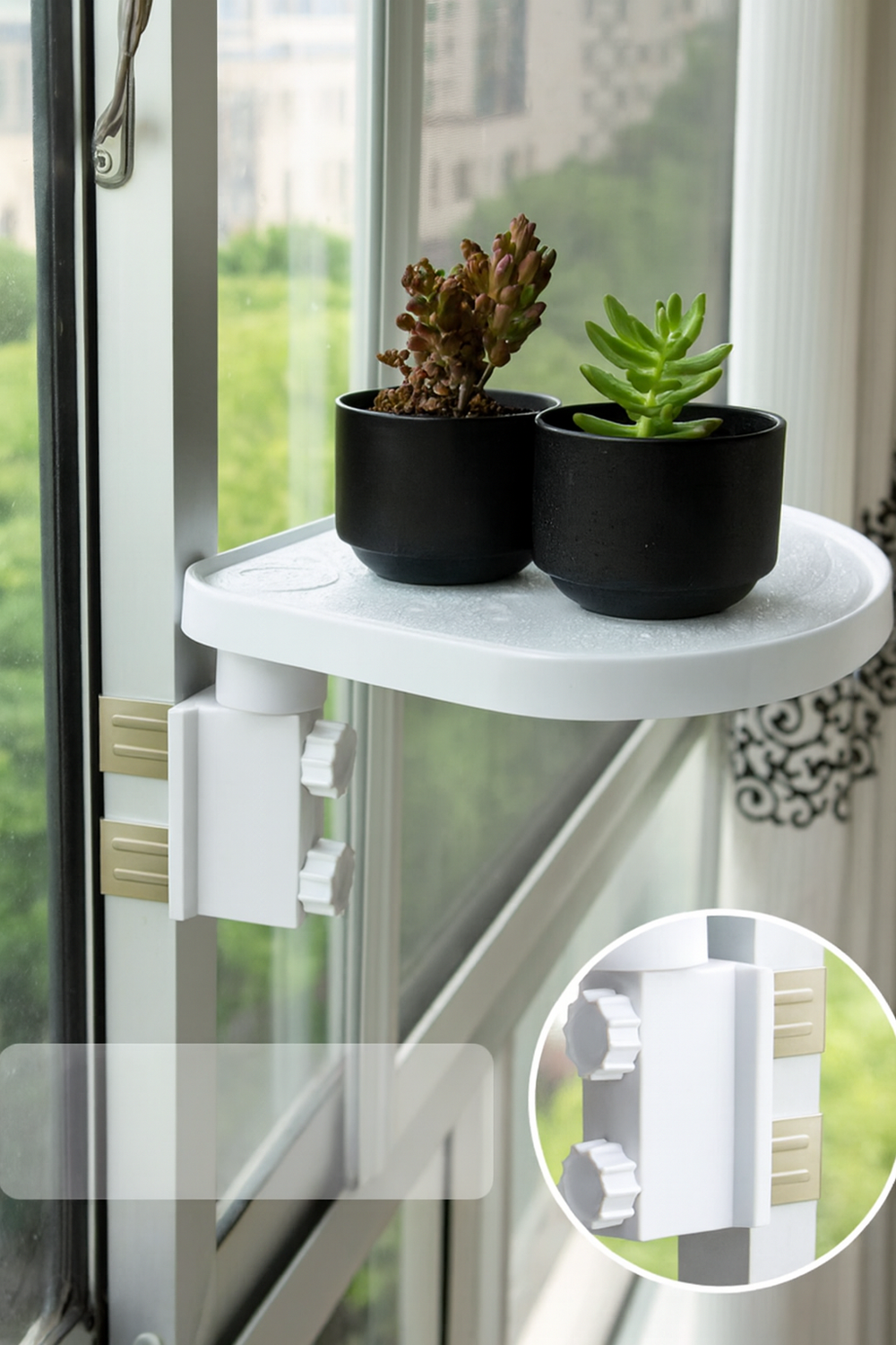 SunClip Window Rack - Tumbleweed Plants