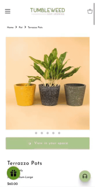 The Art of Gifting Plants: Symbolism, Meaning, and Tips – Tumbleweed Plants