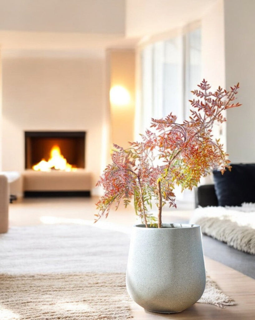 Belle Arc Planter - Buy Pots Online | Tumbleweed Plants