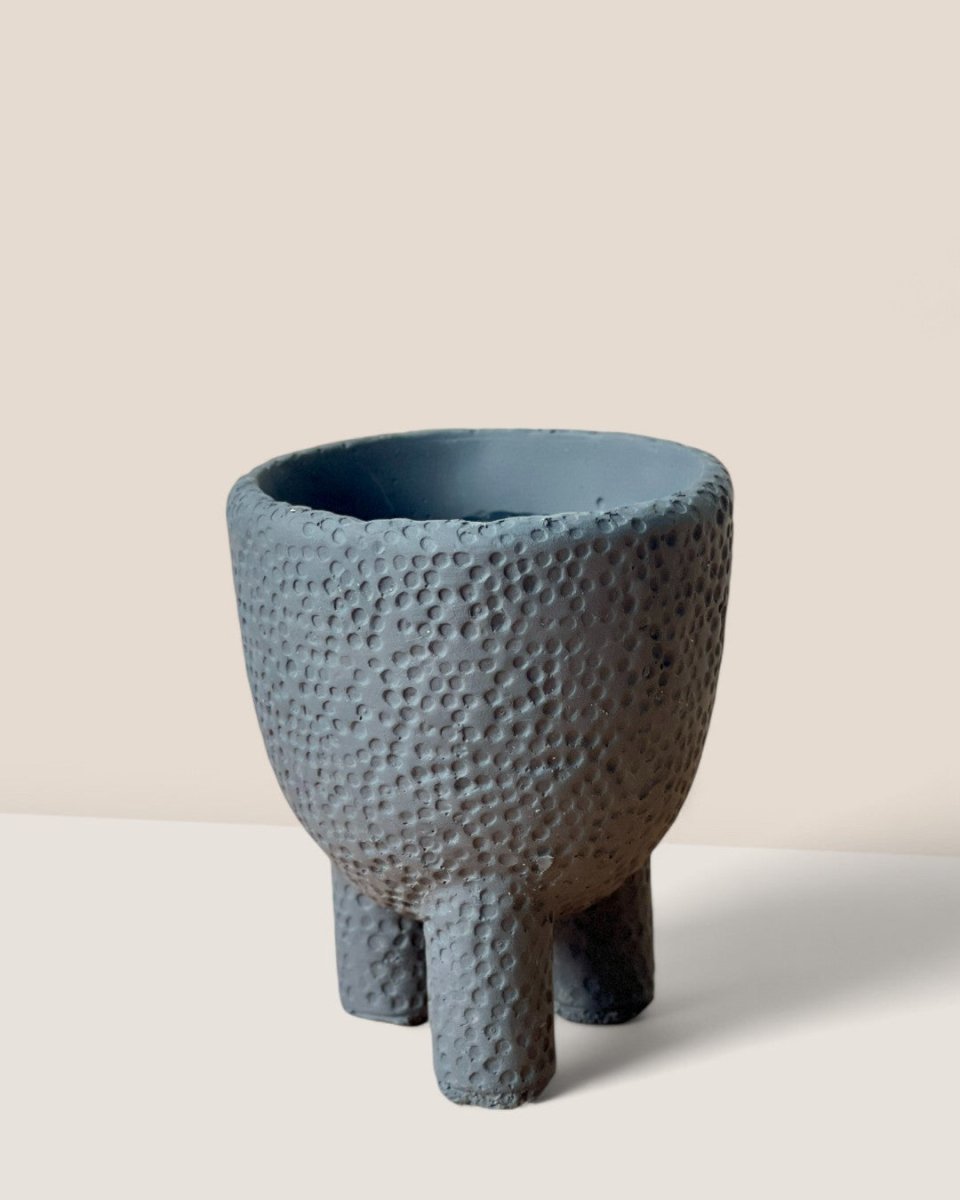 Belle Coal Planter - Tumbleweed Plants