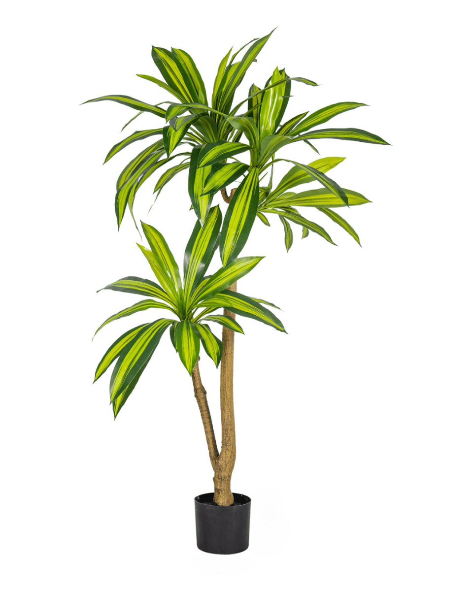 Brazil Iron Tree (Life-life Artificial) - Buy Potted plant Online ...