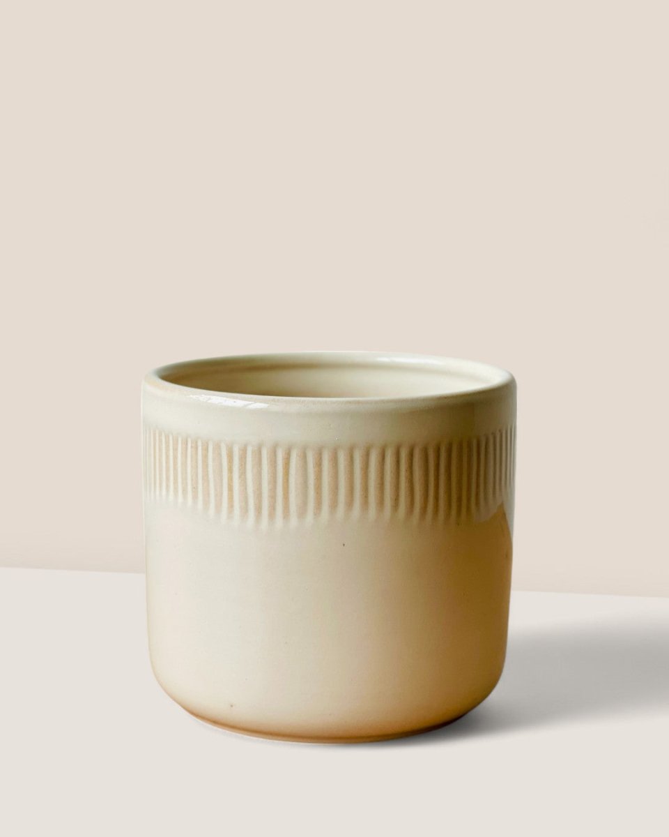 Cath Ceramic Pot - Tumbleweed Plants