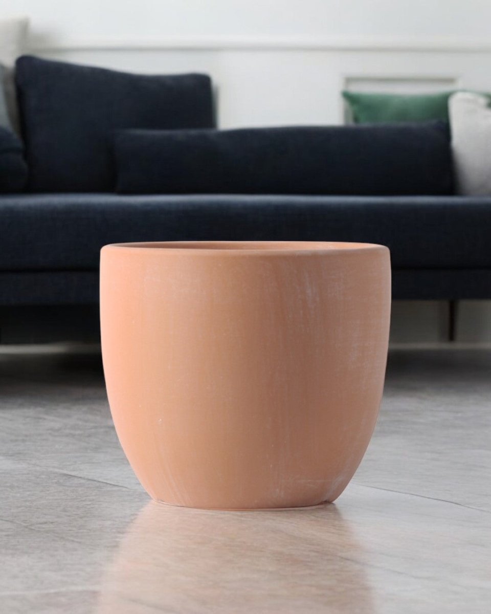 Egg Pot Medium - Tumbleweed Plants