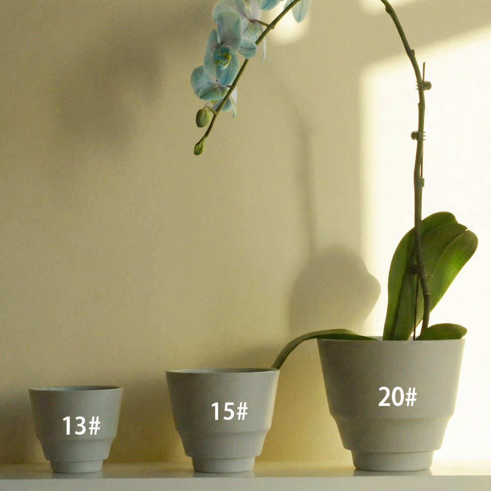 Ash Core Cloudstone Pot - Medium - Tumbleweed Plants