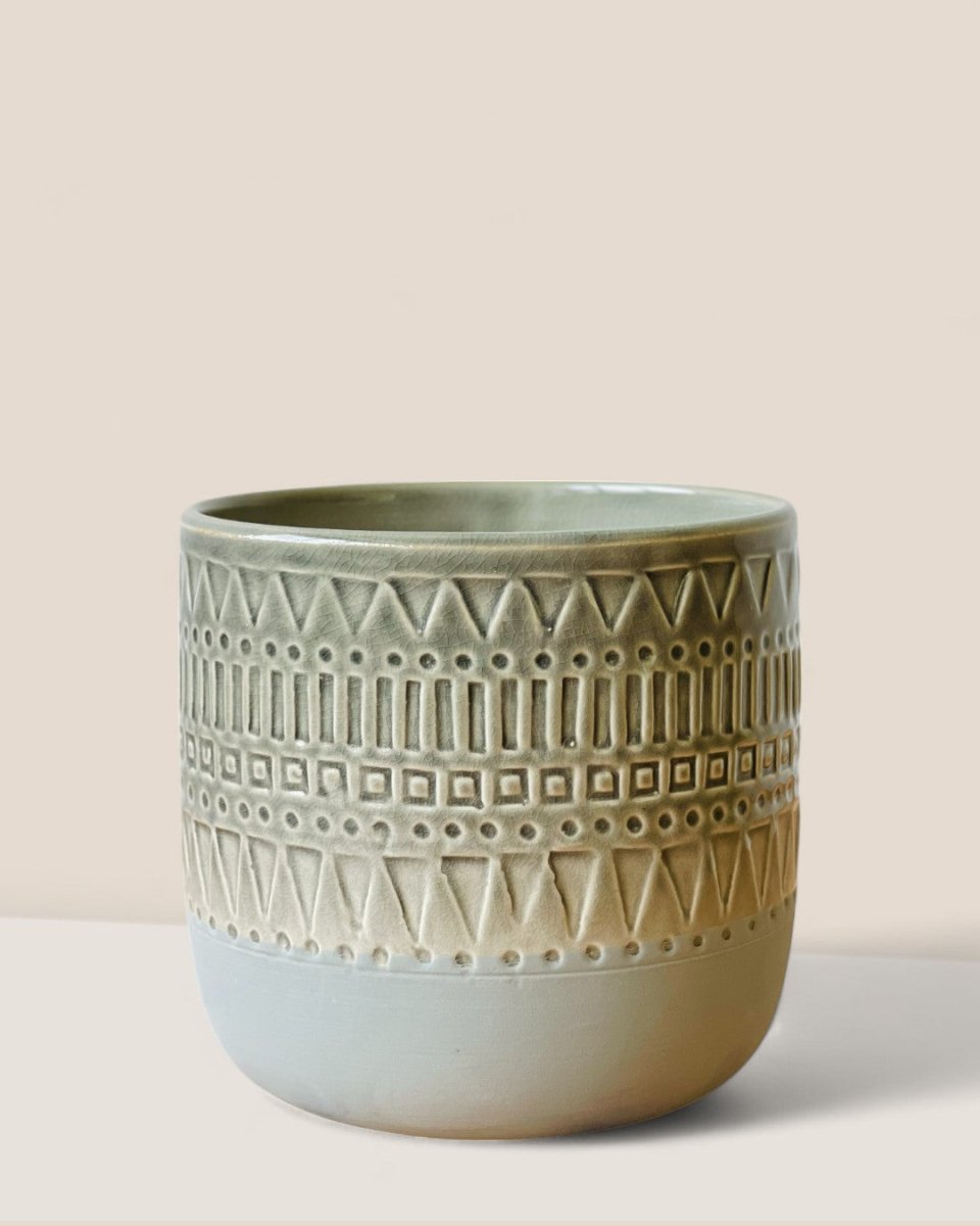 Lexie Ceramic Pot - Tumbleweed Plants