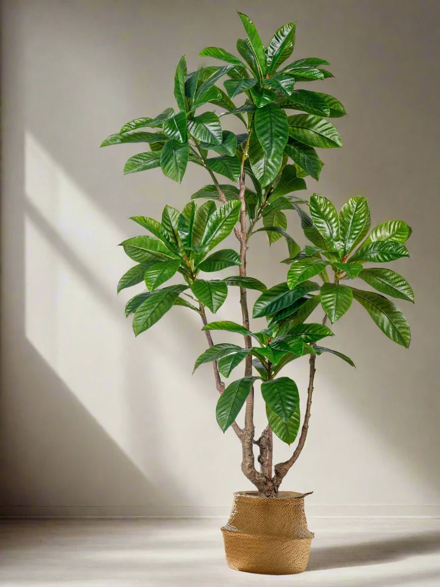 Loquat Tree (Faux) - Buy Online | Tumbleweed Plants