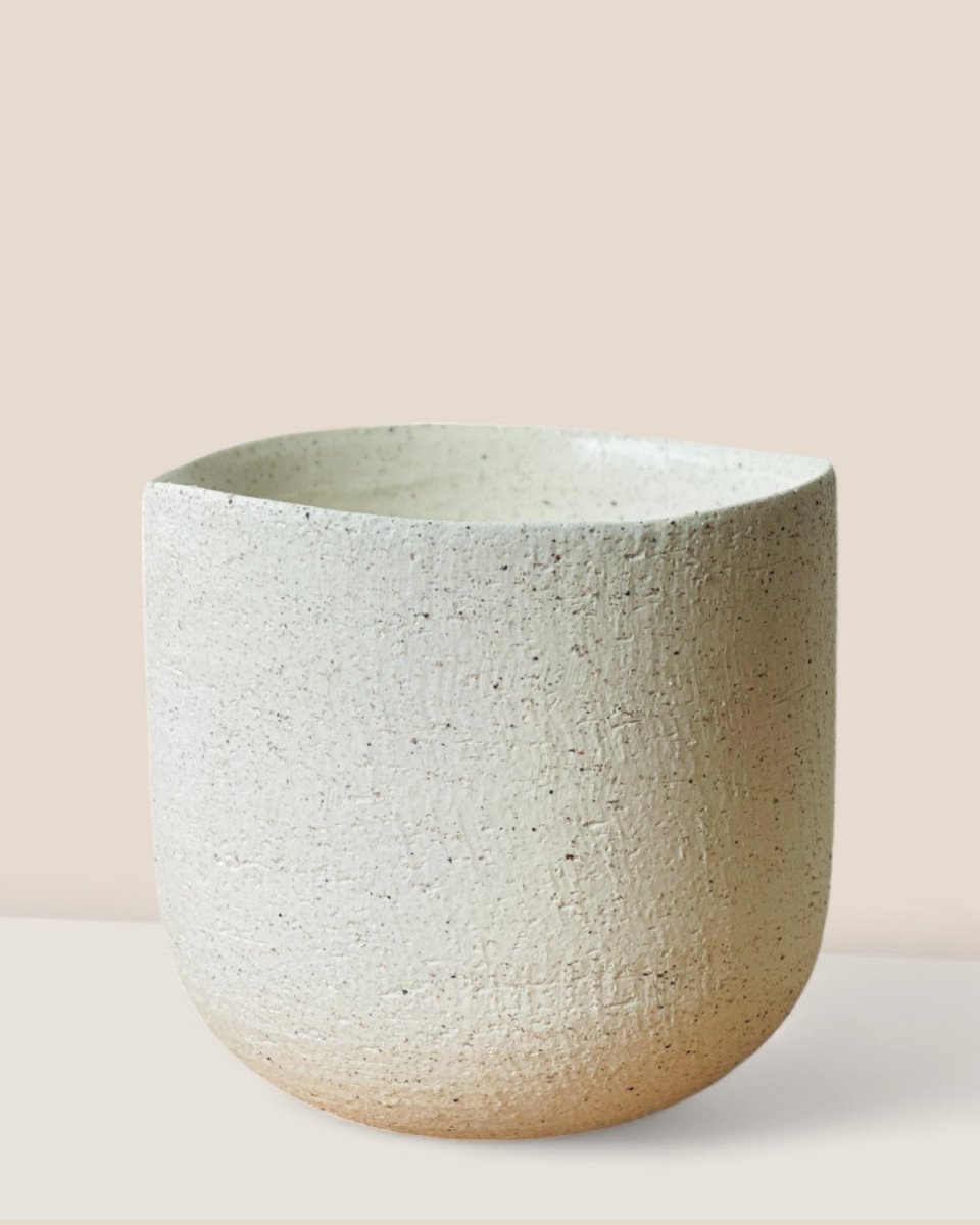 Octavia Planter Medium - Buy Pots Online - Singapore – Tumbleweed Plants