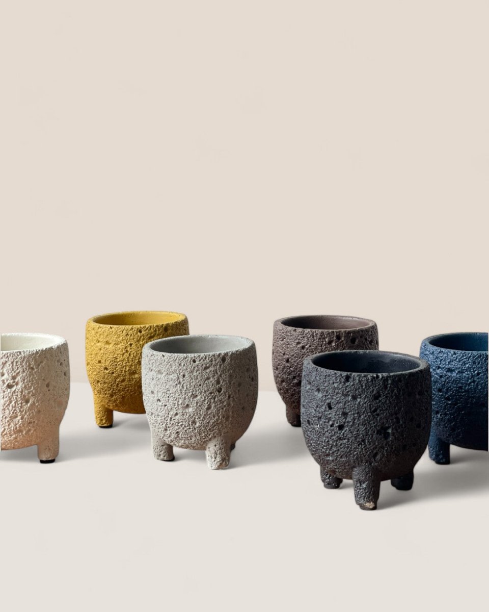 Anya Cement Pot Mini - Tumbleweed Plants