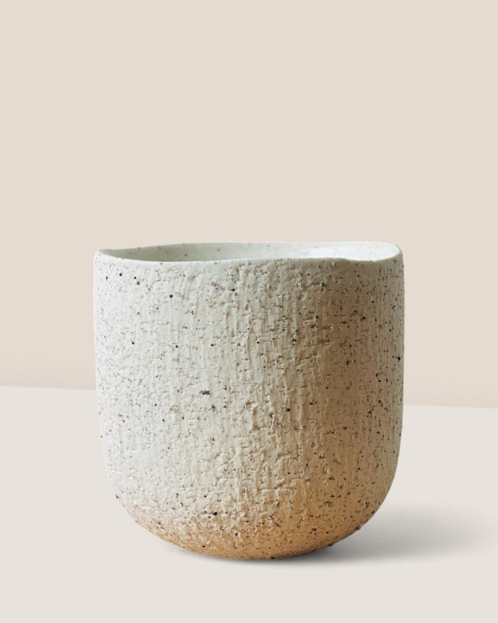 Octavia Planter Mini - Tumbleweed Plants