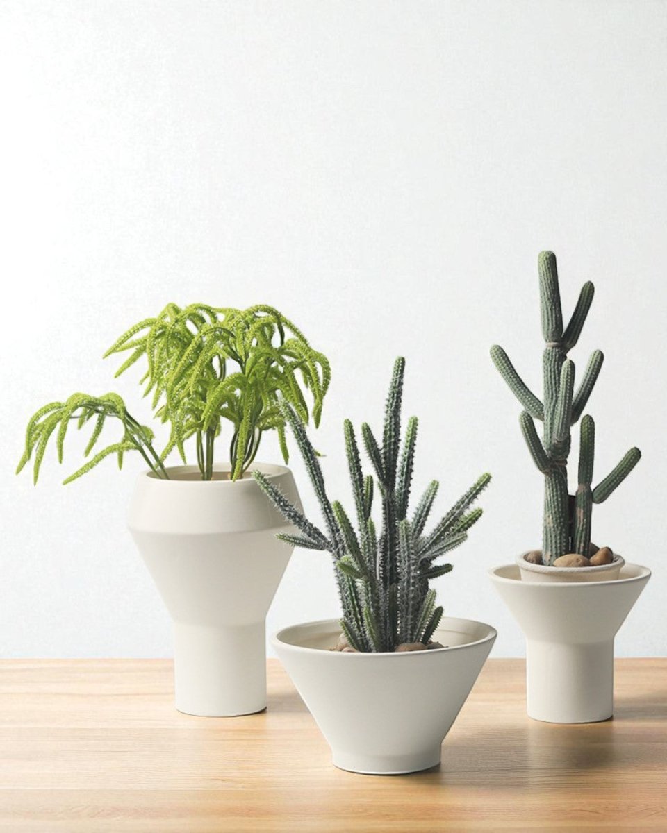 Pivot Planters - Tumbleweed Plants