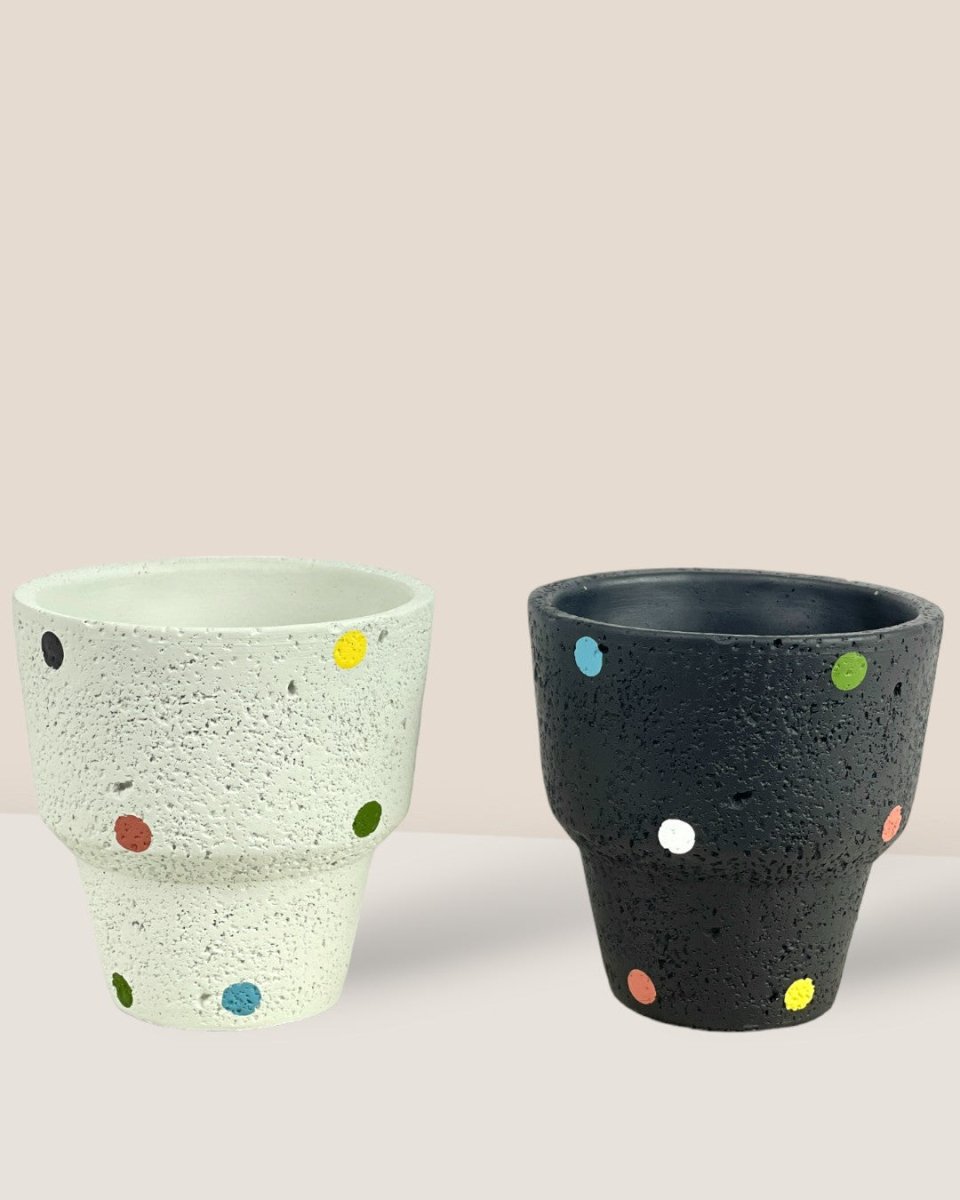Polka Pots - Tumbleweed Plants