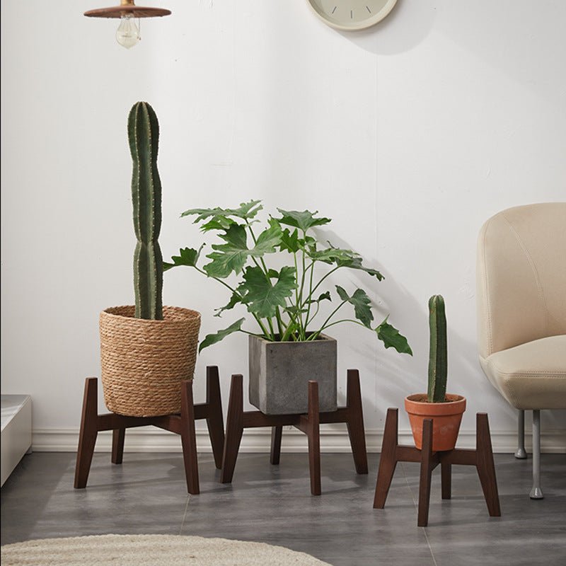 ROOTED Wooden Plant Stands - Buy Plant Stand Online | Tumbleweed Plants
