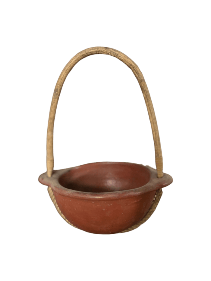 Second Chance: Hemsy Pot FREE assorted plant - Buy Pots Online ...