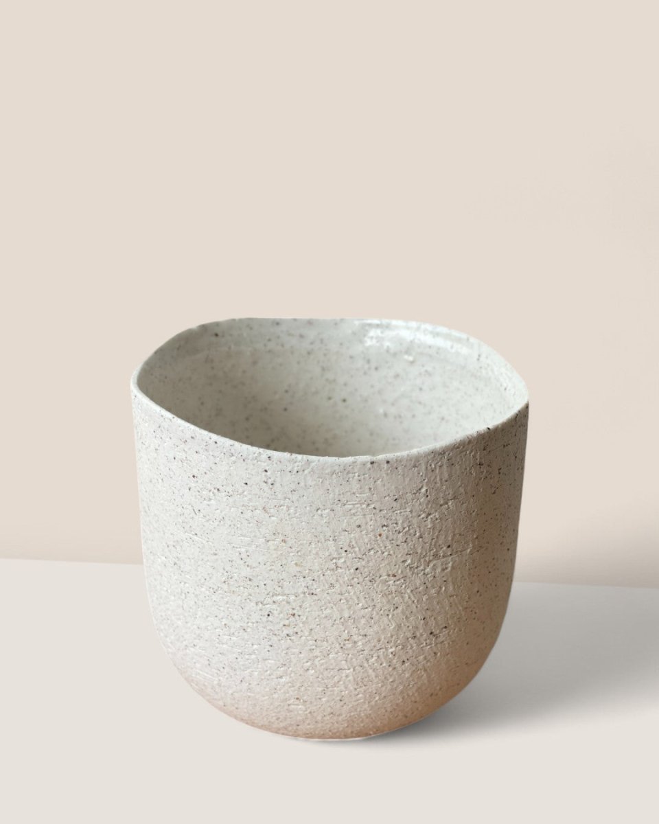 Small Octavia Planter - Buy Pots Online | Tumbleweed Plants