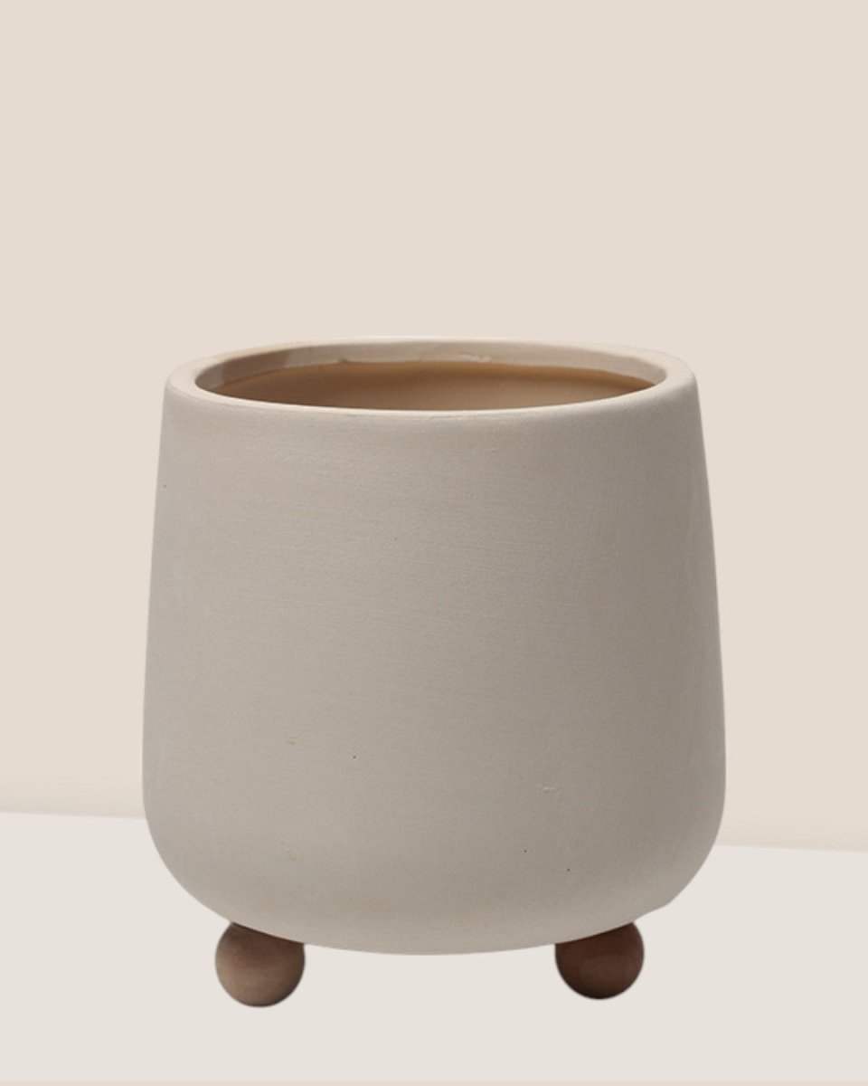 Terracotta Cream Pot with DIY Wooden Legs - Tumbleweed Plants